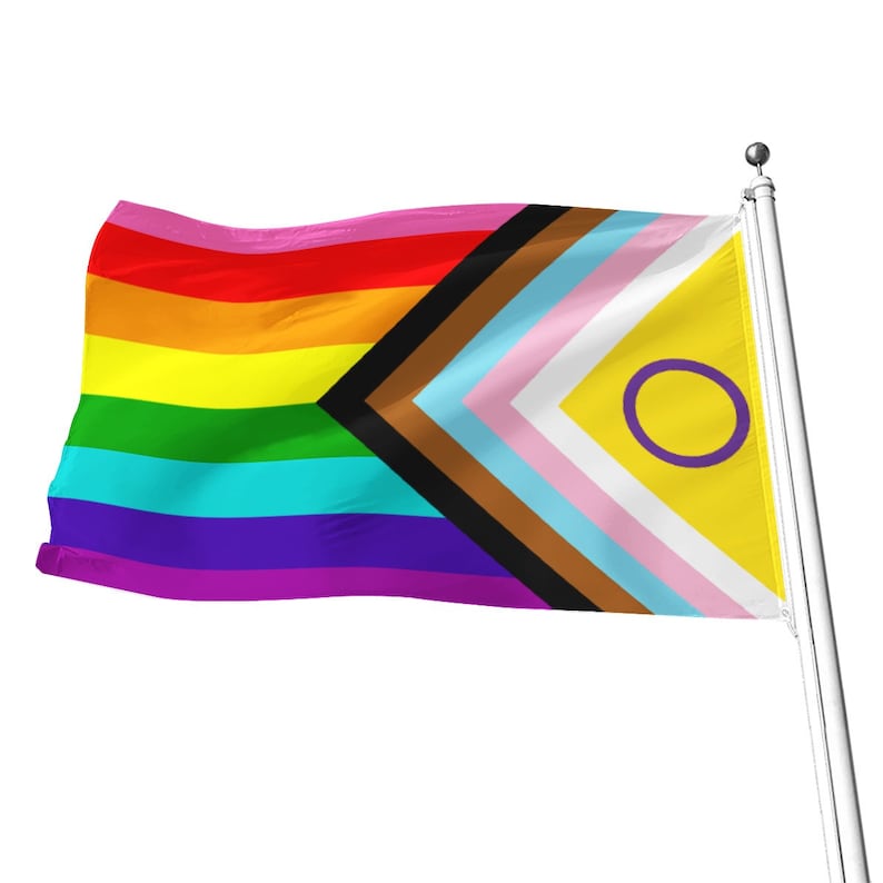Inclusive Rainbow Pride Flag LGBTQIA BLM Inclusive Pride Flag Ideal for ...