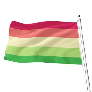 Aroflux Pride Flag, 5 Sizes, LGBTQIA+ Pride Flag, Ideal for Pride ...