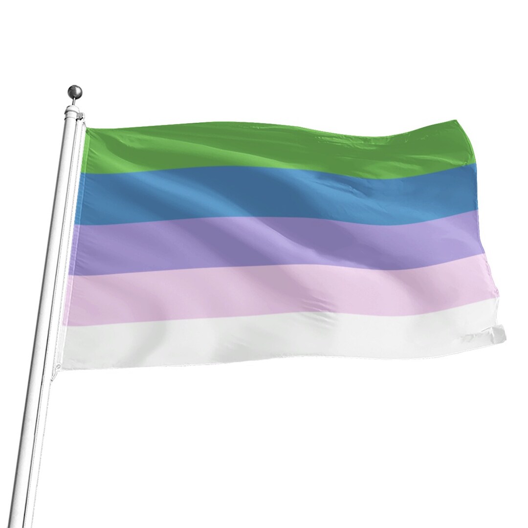 Arogender Pride Flag, 5 Sizes, LGBT Pride Flag, Rainbow Pride, Ideal ...