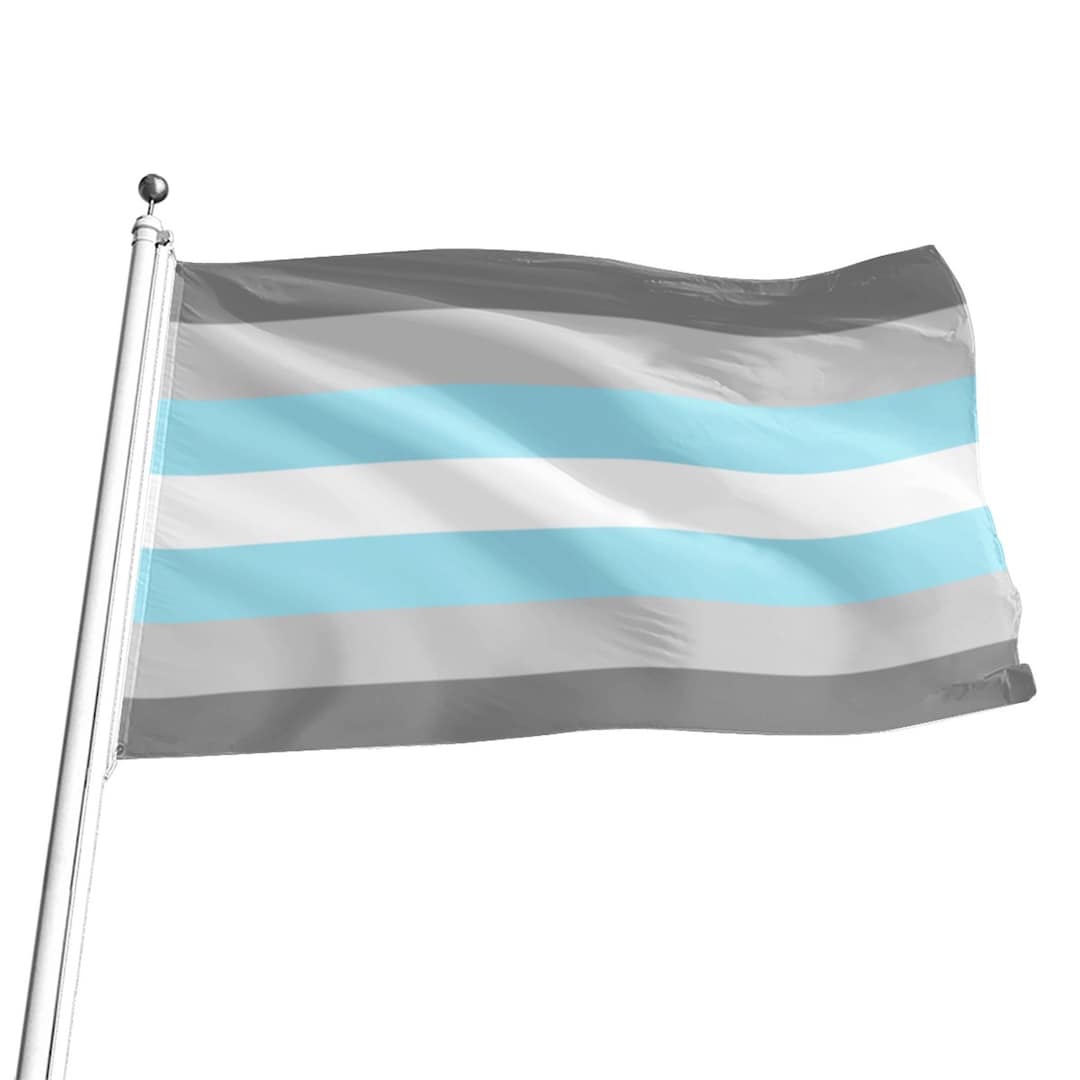 Demiboy Pride Flag, 5 Sizes, LGBTQ+ Pride Flag, Ideal for Pride Marches ...