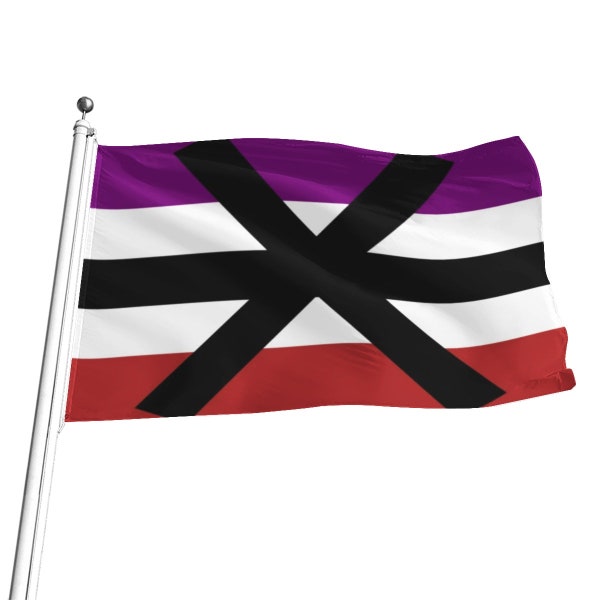Apothisexual Flag - Etsy UK
