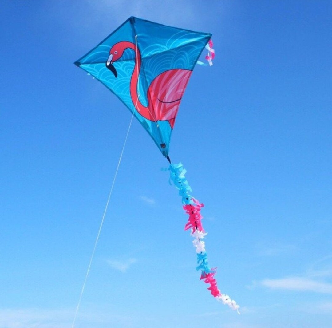 Wolkenstuermer Eddy Flamingo Single-line Kite Flying - Etsy