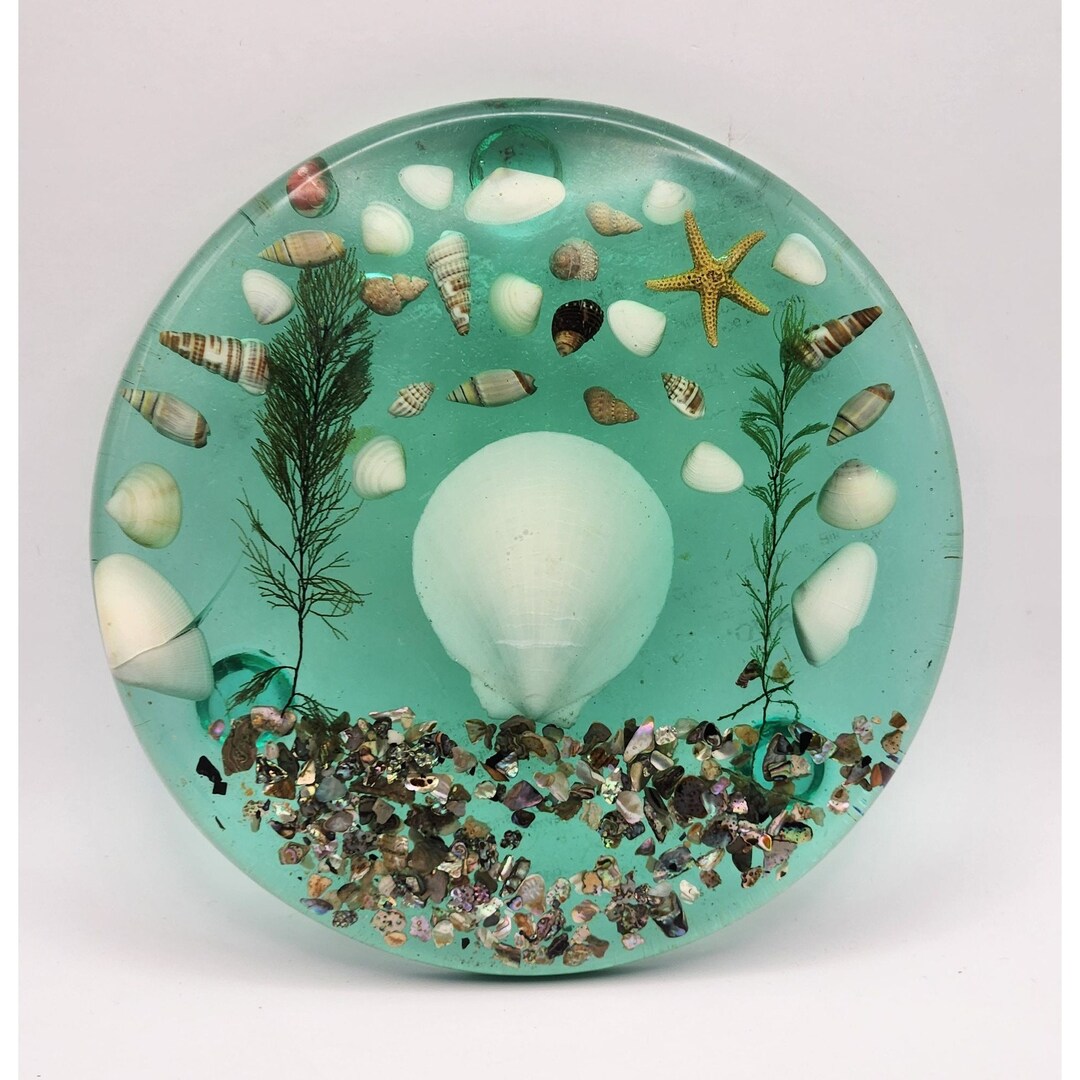 Vintage Lucite Round Trivet Hot Pad Seashells Starfish Beach - Etsy