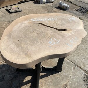 Mango Slabs Exotic Hardwoods for Any DIY Projects-coffee Table, Dining ...