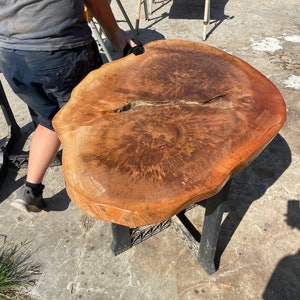 Mango Slabs Exotic Hardwoods for Any DIY Projects-coffee Table, Dining ...