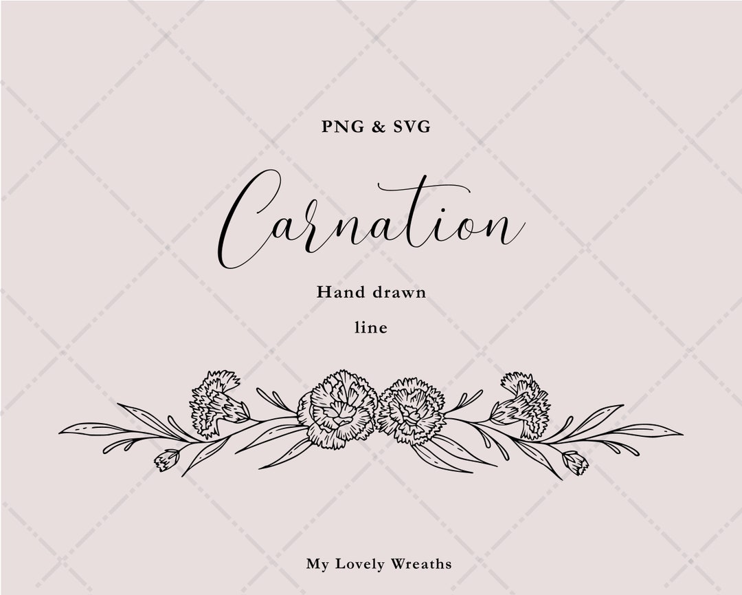 Carnation Line | Botanical Hand Drawn Illustration | Floral Wedding ...