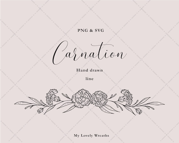 Carnation Line Botanical Hand Drawn Illustration Floral - Etsy