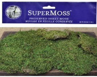 Green Sheet Moss - Etsy