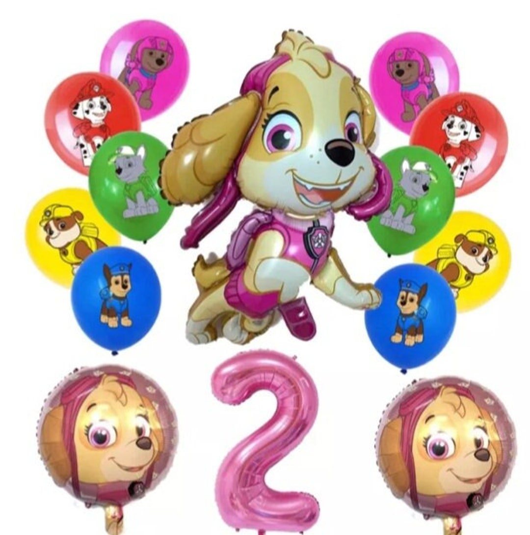 Paw Patrol Skye Balloon Set - Birthday Balloons - Party Decorations ...