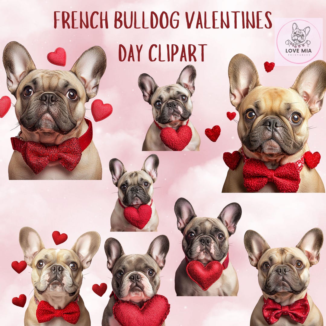8 PNG French Bulldog Valentines Day Clip Art Images, Valentines Day ...