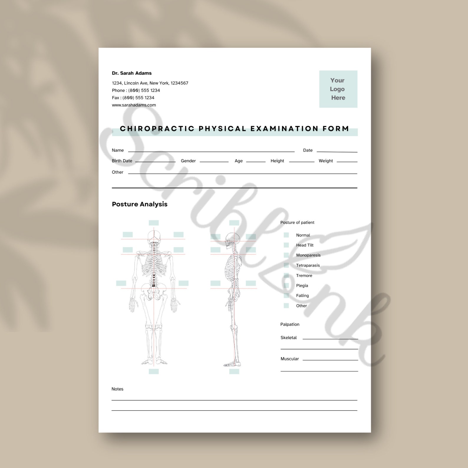 Chiropractic Physical Examination Information/ PDF Canva Template ...