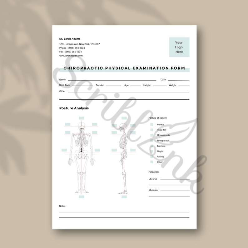 Chiropractic Physical Examination Information/ PDF Canva Template ...