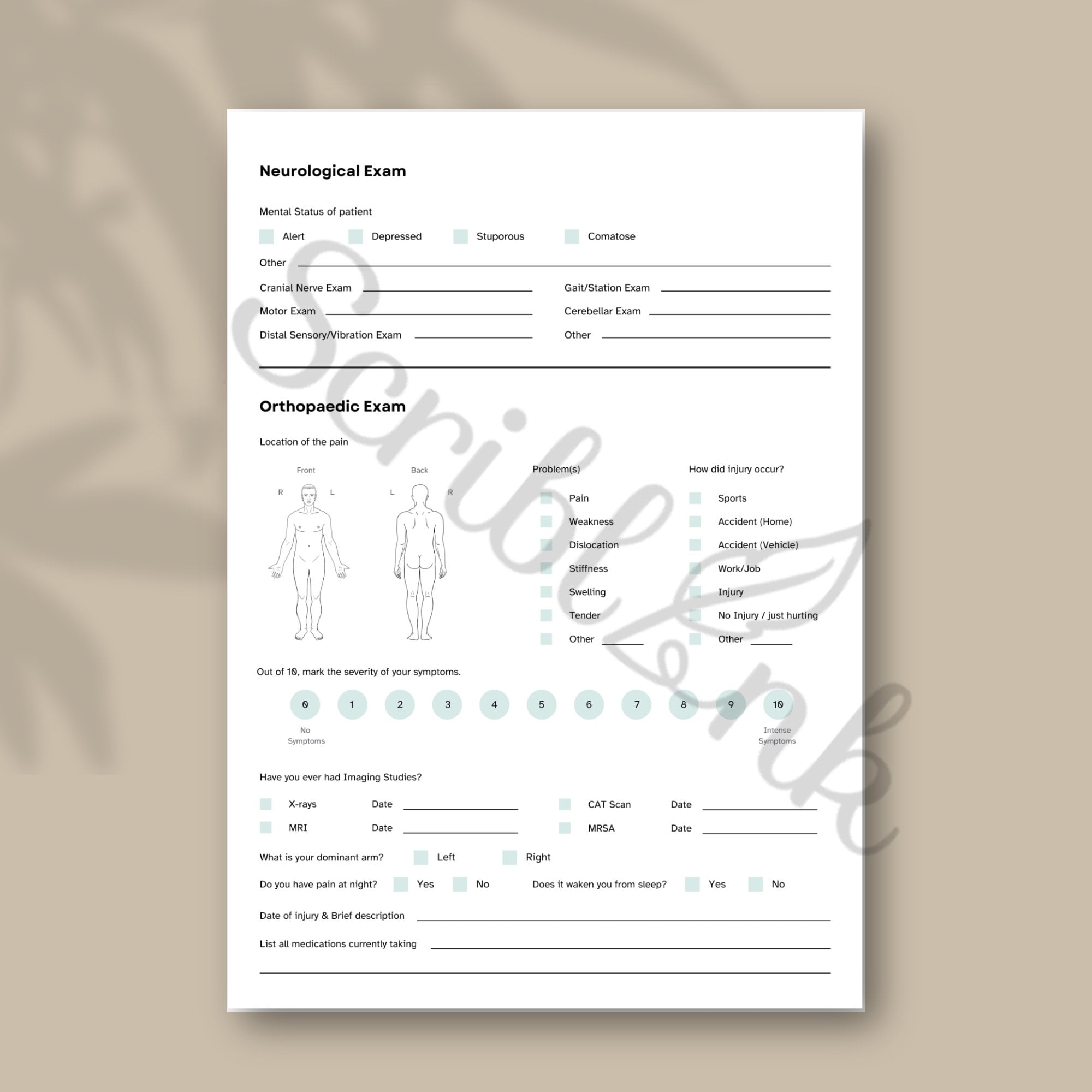 Chiropractic Physical Examination Information/ PDF Canva Template ...