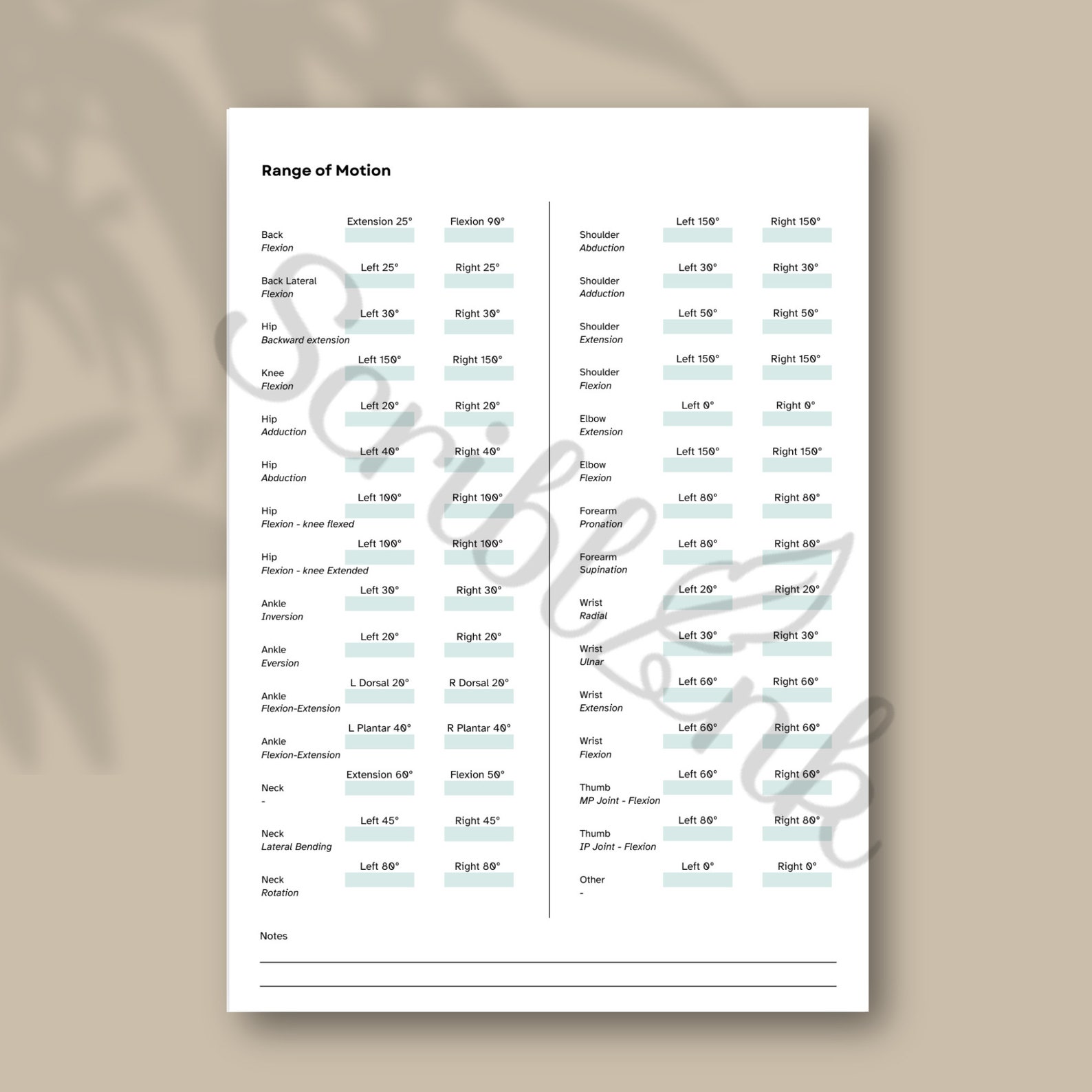 Chiropractic Physical Examination Information/ PDF Canva Template ...