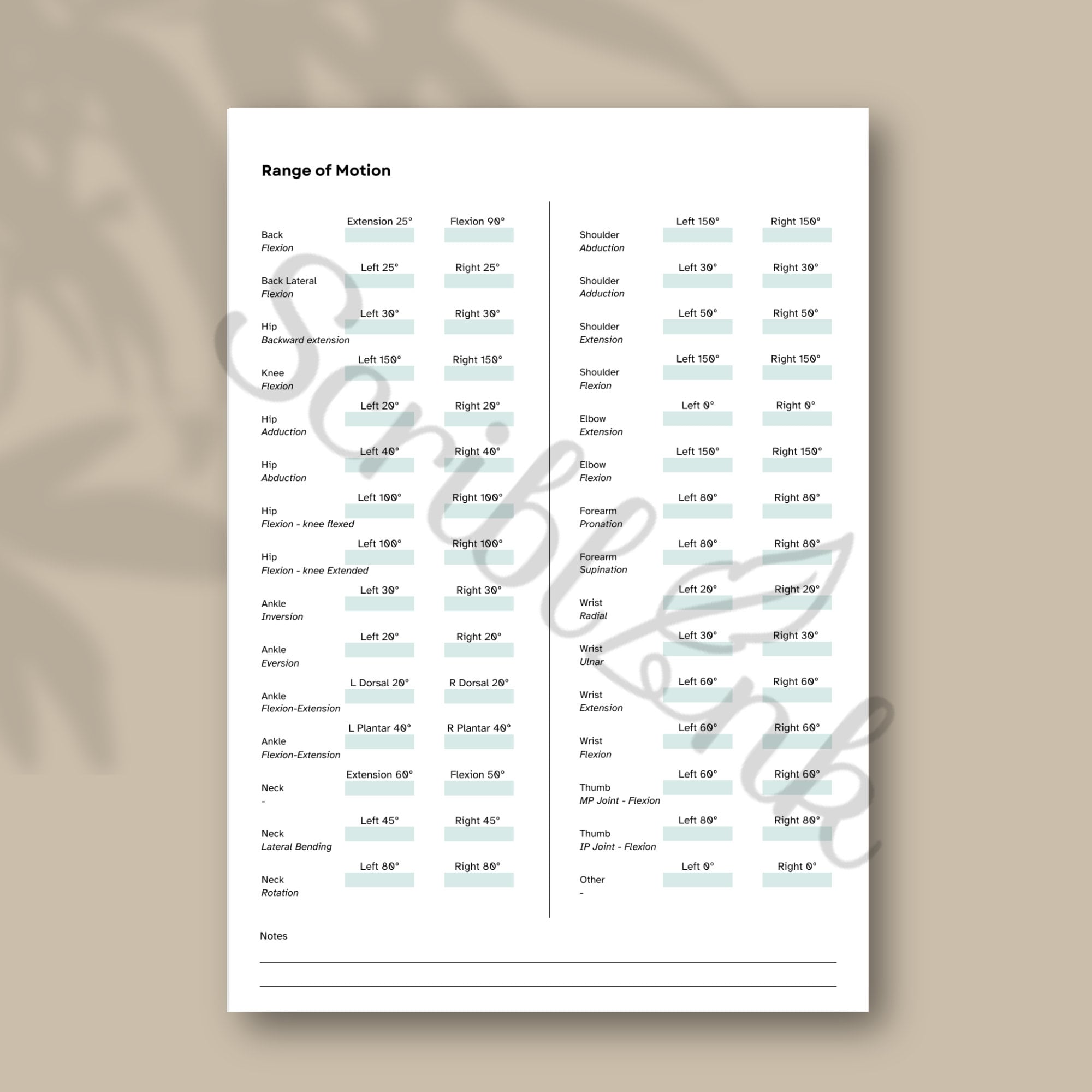 Chiropractic Physical Examination Information/ PDF Canva Template ...
