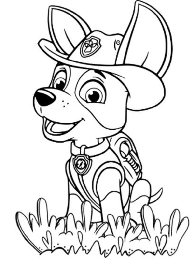 Crayola Paw Patrol Coloring,50 Printable Coloring Pages for Kids + 1 ...