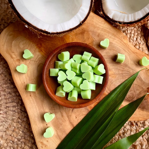 Pandan - Etsy