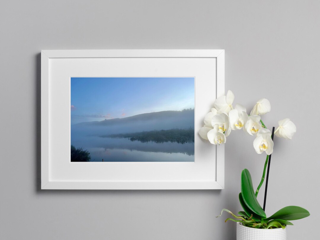 Evoke Serenity With 8x10 Nature Prints: Waters, Blooms, Sunrise, Whale ...