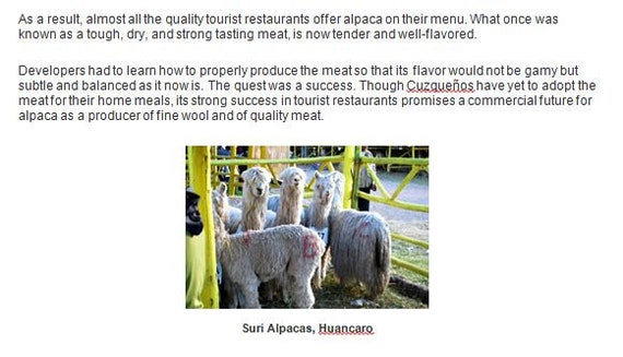 Alpaca Flag