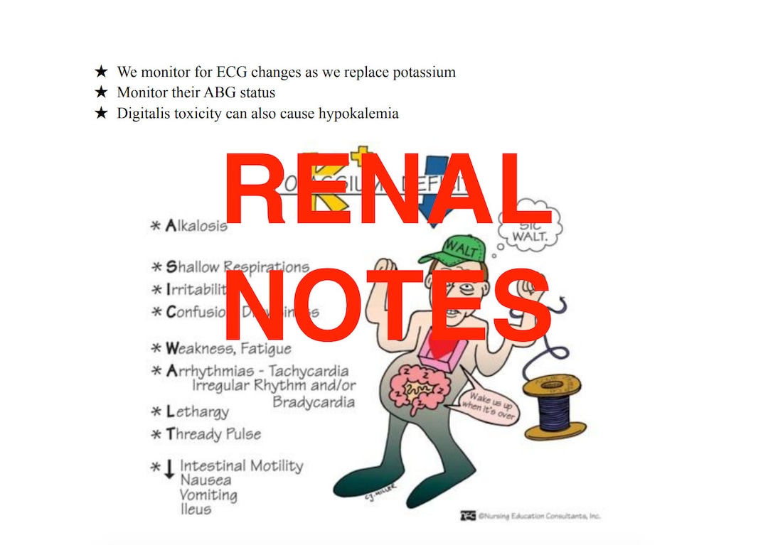 Renal Notes | Fluids & Electrolytes and MORE - Etsy