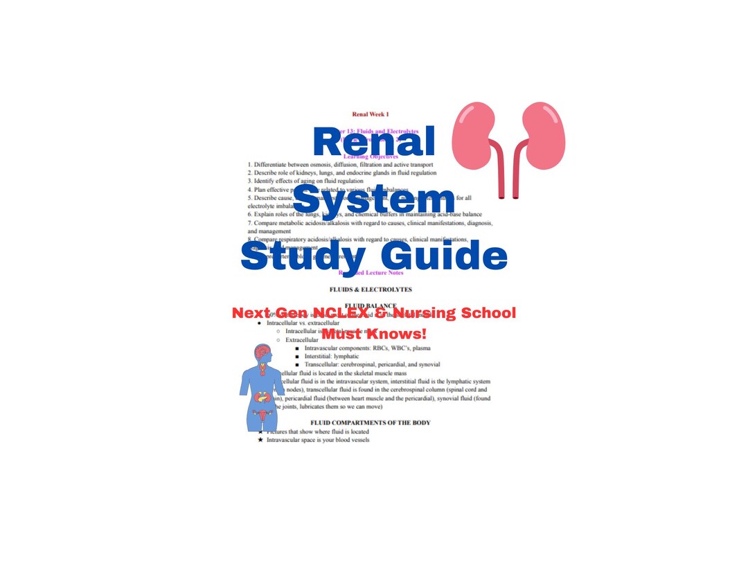 Renal Notes | Fluids & Electrolytes and MORE - Etsy