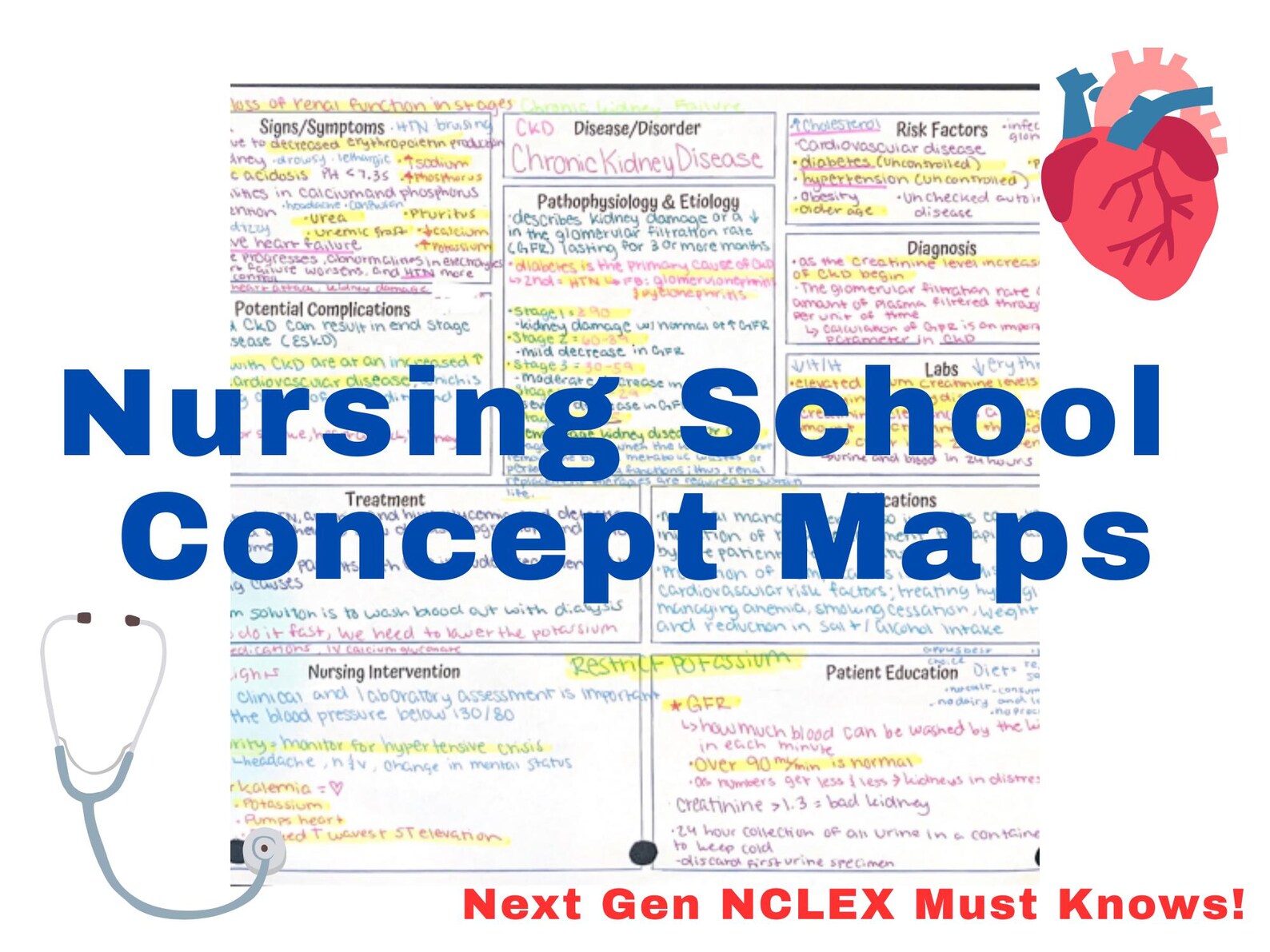 Nursing School Concept Maps: 37 Completed Study Guides (digital ...