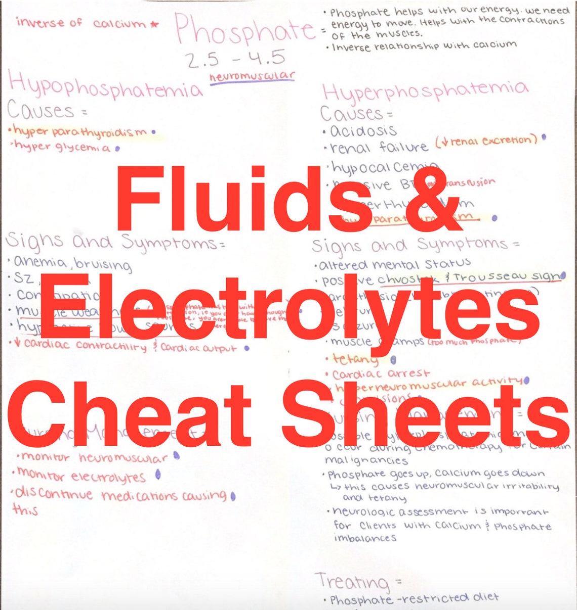 Fluids & Electrolytes Cheat Sheet - Etsy