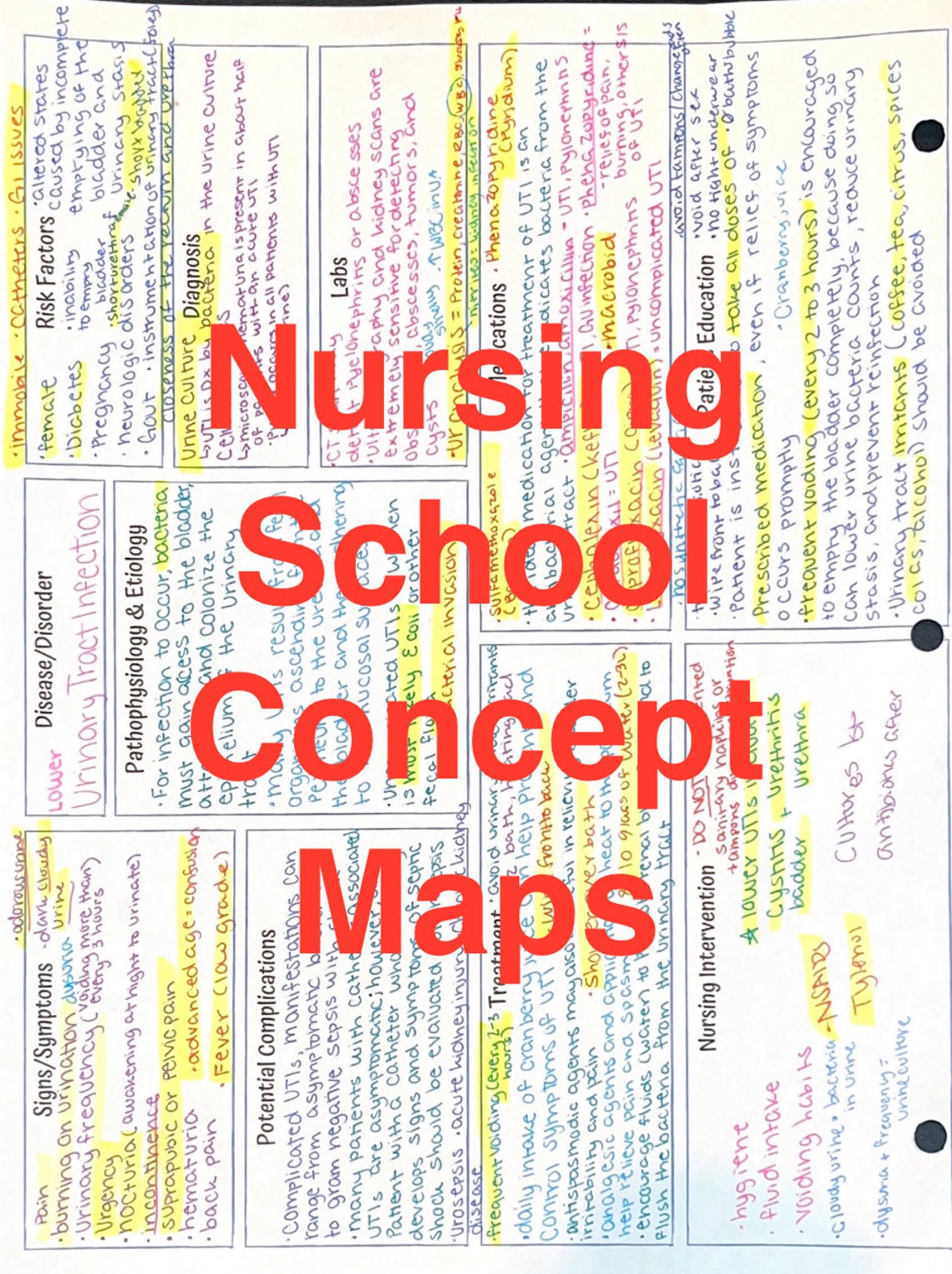 Nursing School Concept Maps (37 Completed Concept Maps) - Etsy