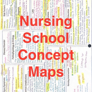 Nursing School Concept Maps (37 Completed Concept Maps) - Etsy