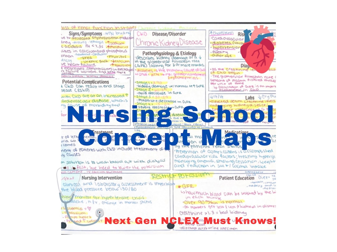 Nursing School Concept Maps: 37 Completed Study Guides (digital ...