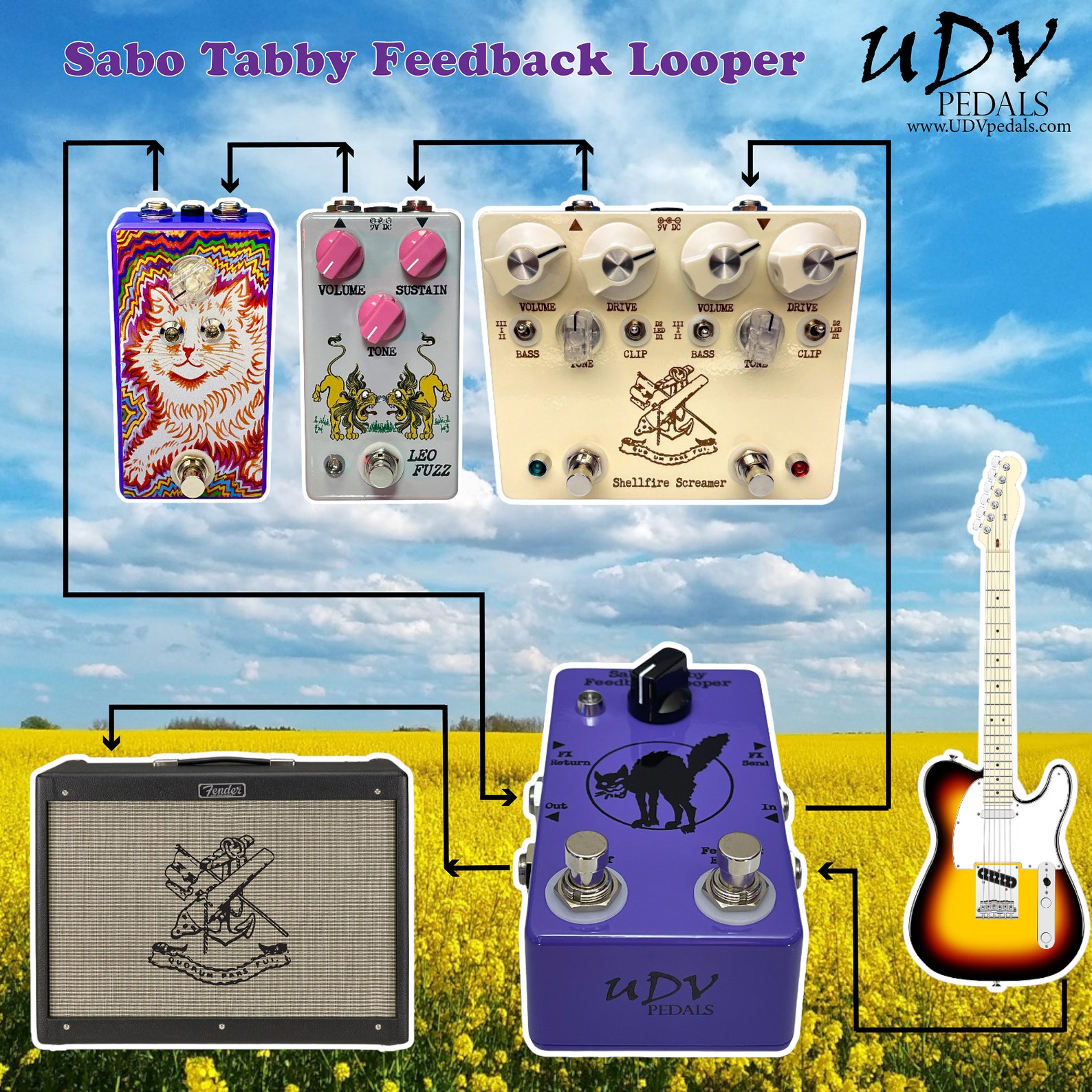 Sabo Tabby Feedback Looper V3 by UDV Pedals - Etsy