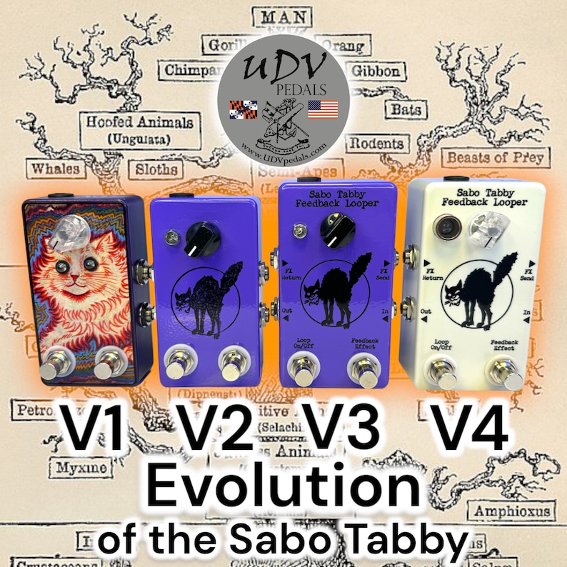Sabo Tabby Feedback Looper V4 by UDV Pedals - Etsy