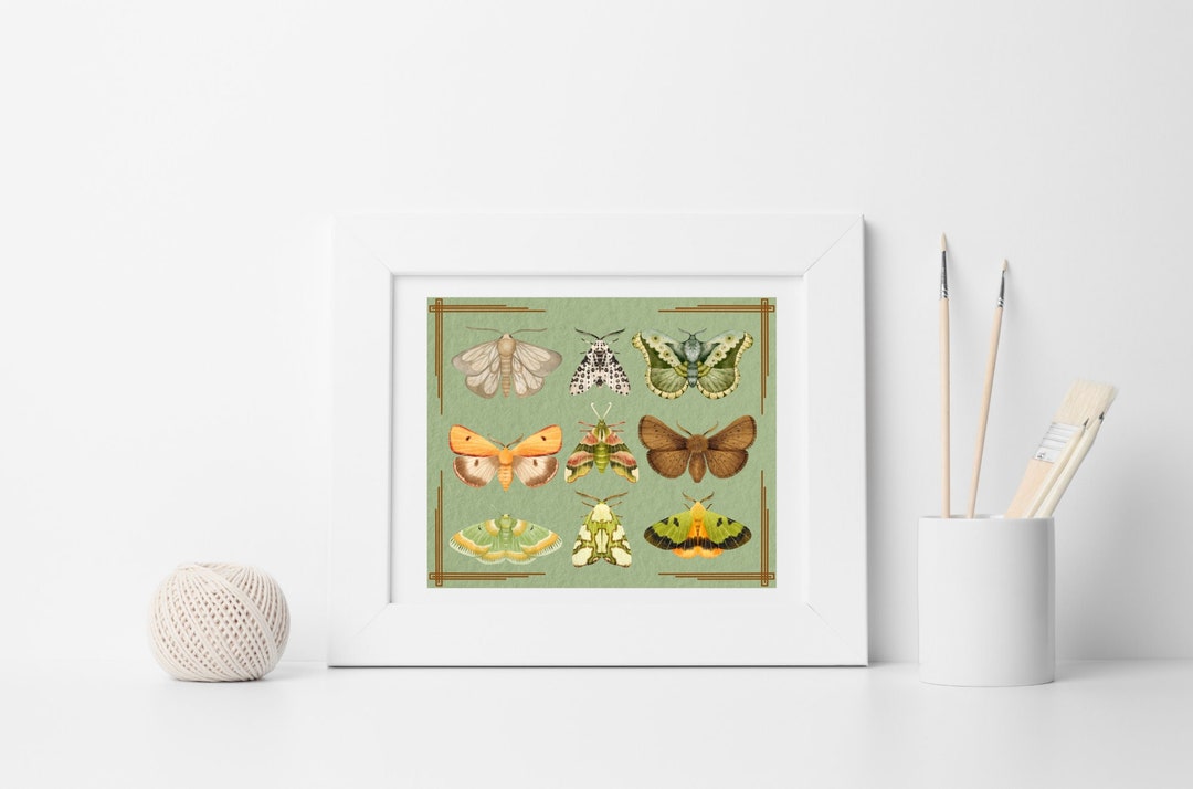 Moths Collection Printable Files - Etsy