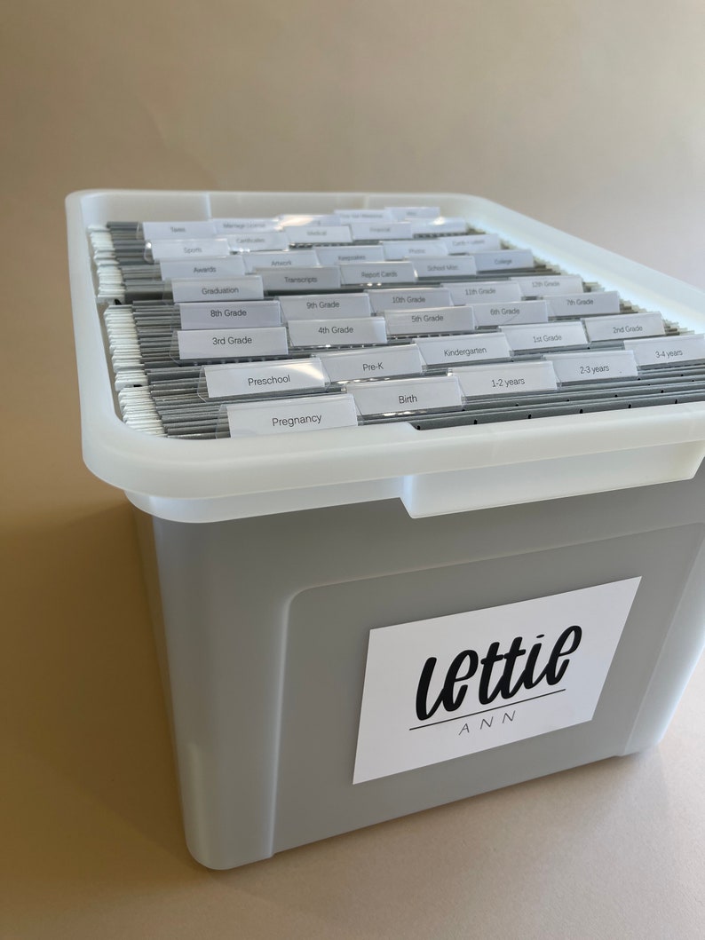 Milestone Life Box FOLDER LABELS ONLY Kids Organization Pregnancy to ...