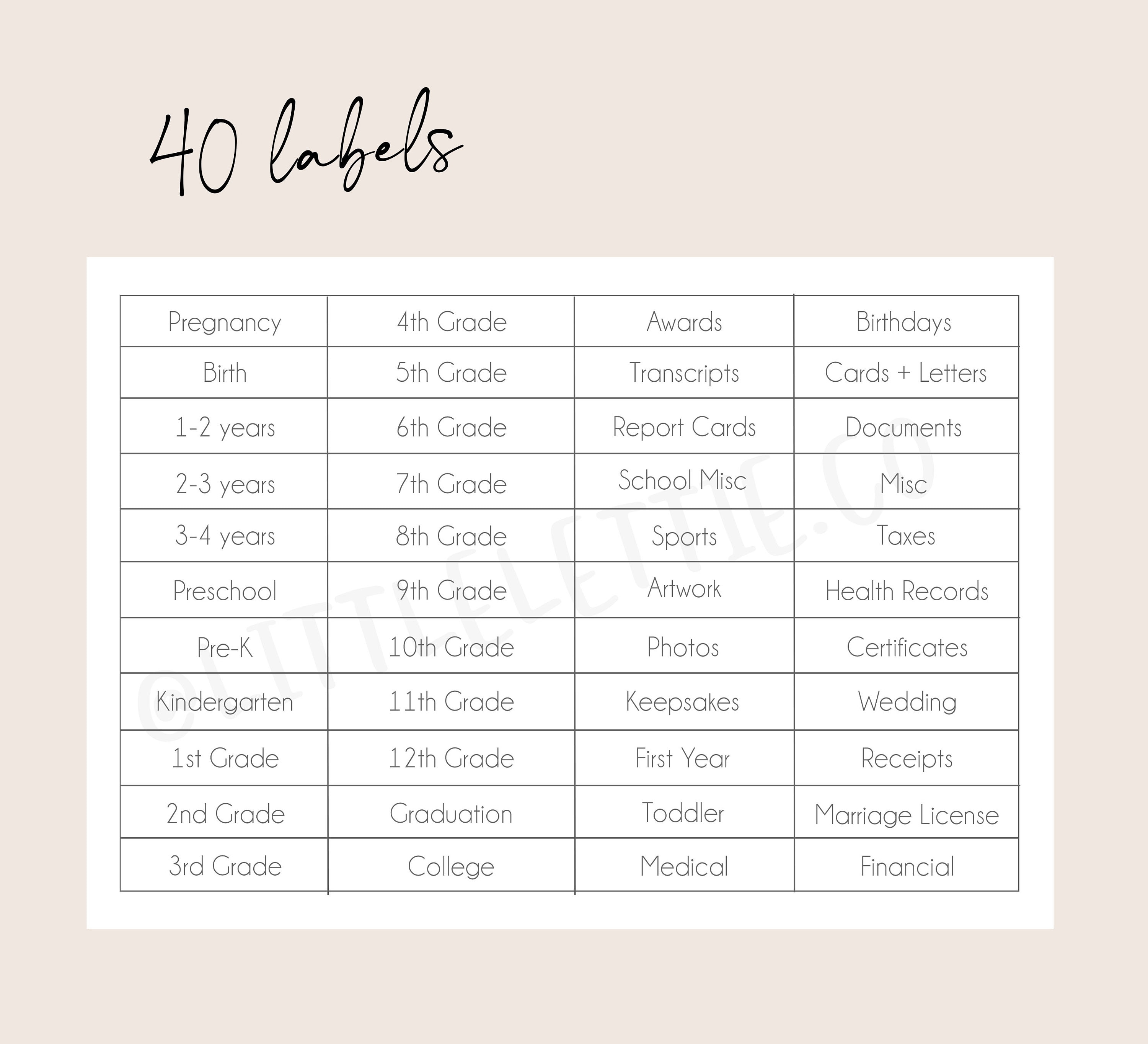 Milestone Life Box FOLDER LABELS ONLY | Kids Organization | Pregnancy ...