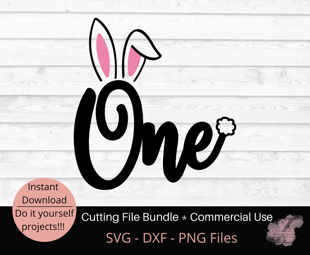 One Birthday Svg, Some Bunny is One Svg, Easter Svg, Toddler Shirt Svg ...