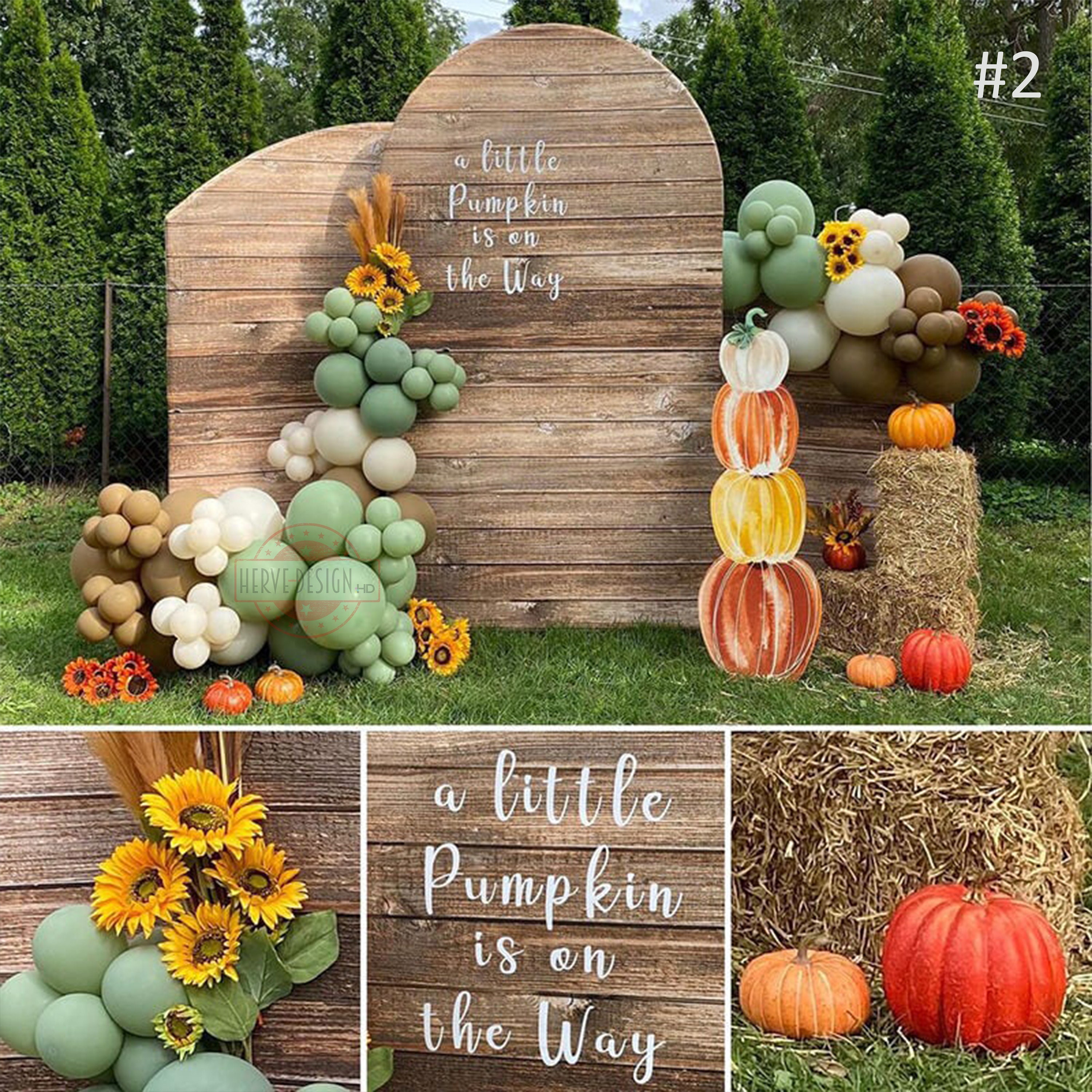 DIY Arch Frame Combination Set of 3 Aluminum Frame Tension - Etsy