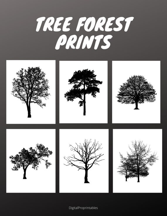 Tree Forest Print Collection Printable Prints Wall Art | Etsy