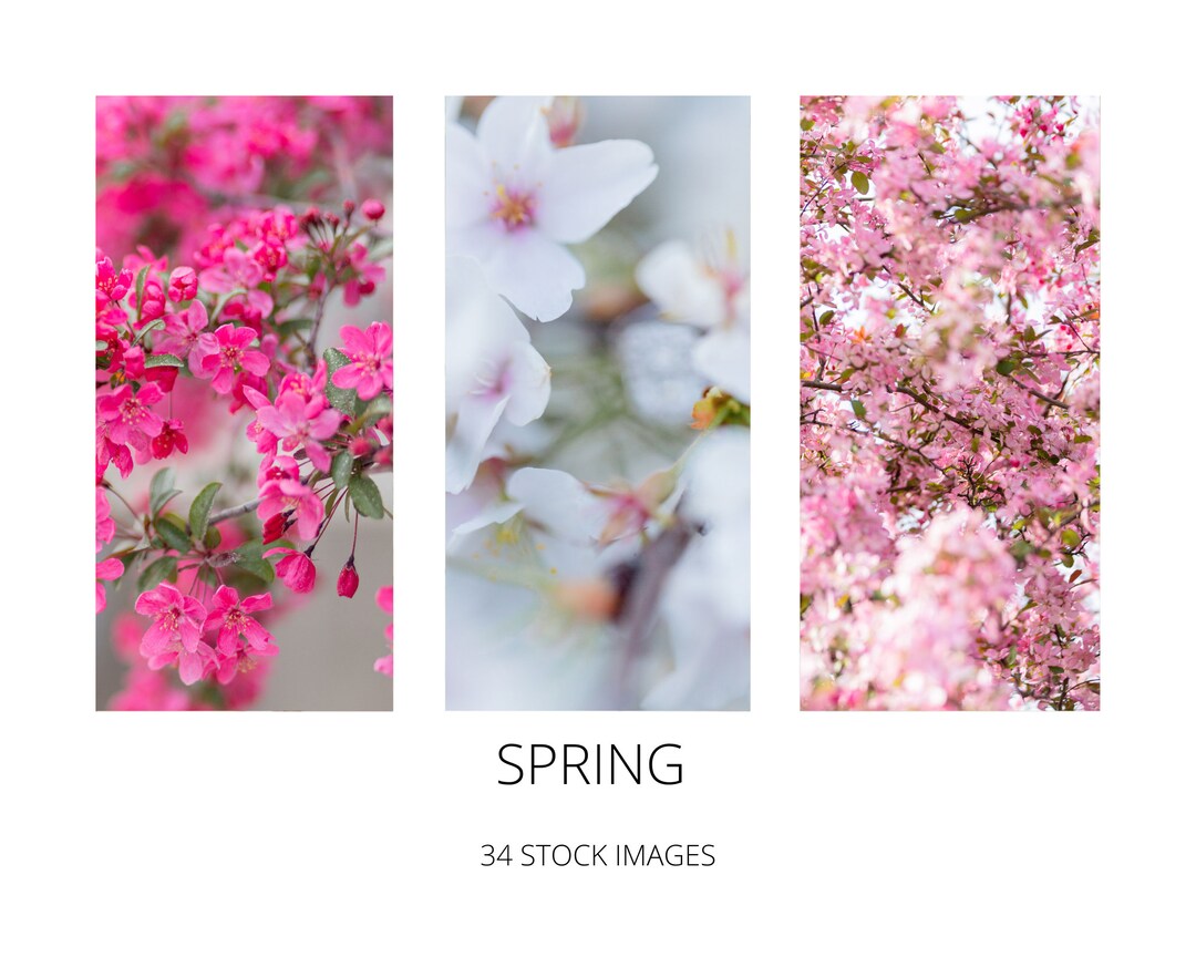 Spring Stock Photos - Etsy
