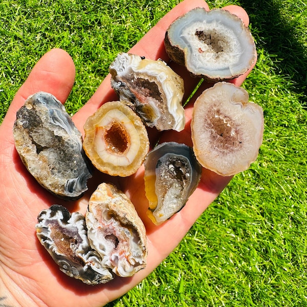 Agate Druzy Geode - Etsy