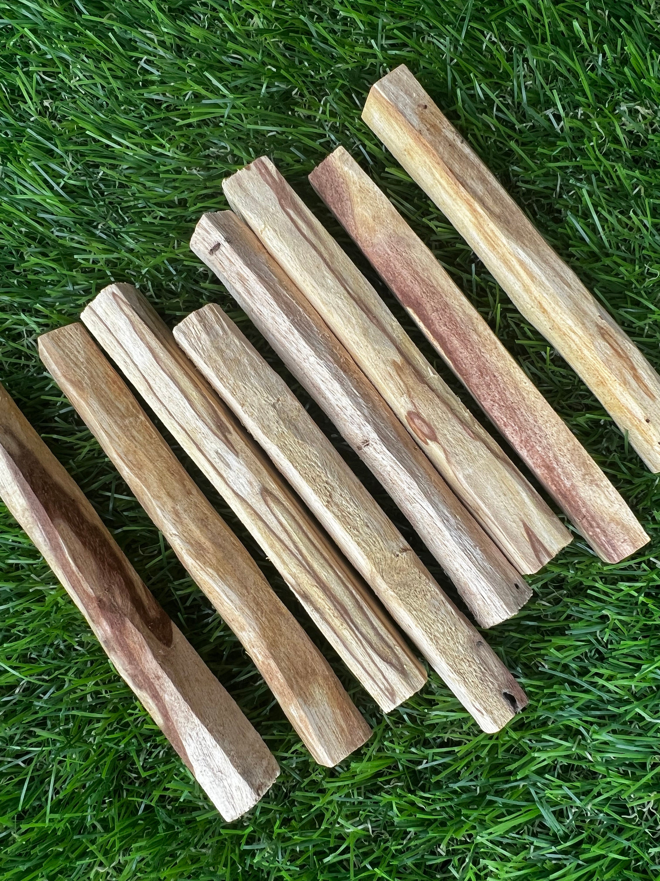 Organic Palo Santo Sticks From Peru Wholesale Palo Santo - Etsy