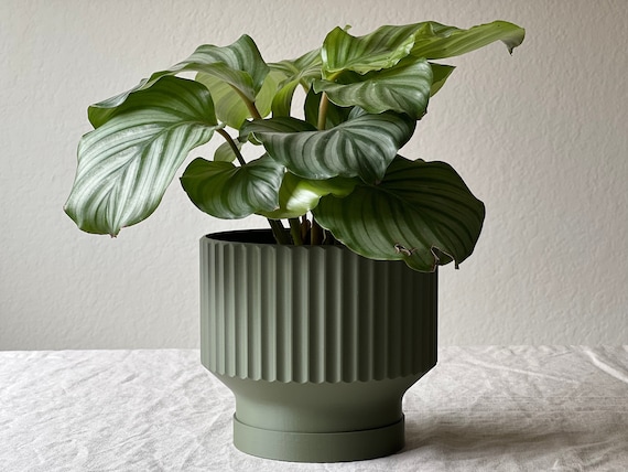 Lightweight Planter Pot Olive Green 46 and - Etsy
