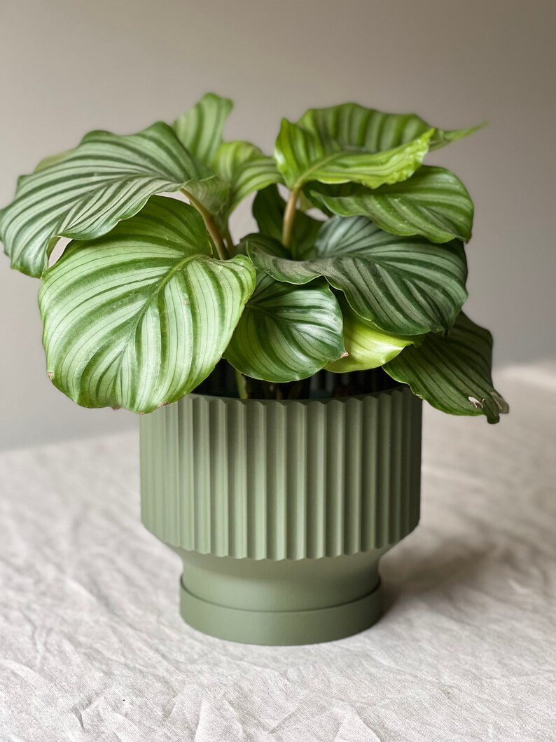 Lightweight Planter Pot Olive Green 46 and - Etsy