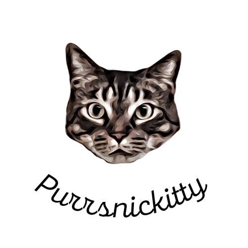 Purrsnickitty - Etsy