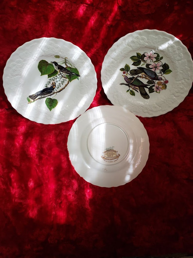 Vintage Alfred Meakin Birds of America Set/3 - Etsy