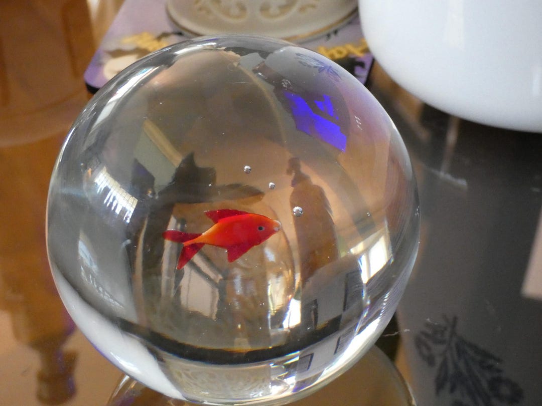 Signed Murano Vintage Fish Globe Orb Paperweight, Solid Heavy Glass ...