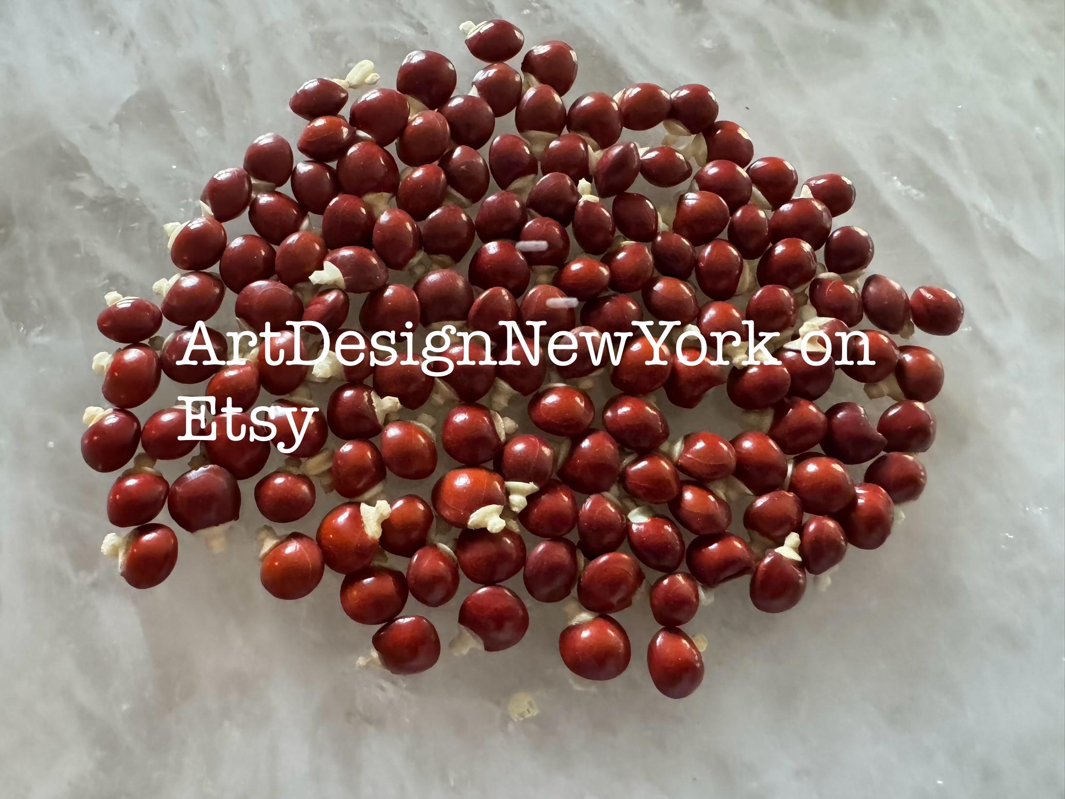 MAGICAL SEEDS From India Manjadikuru Circassian Seed Elephant Carving ...