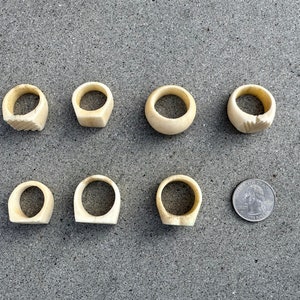 Vintage Water Buffalo Bone Rings | Nepal and India | Handmade | Bovine ...