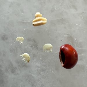 MAGICAL SEEDS From India Manjadikuru Circassian Seed Elephant Carving ...