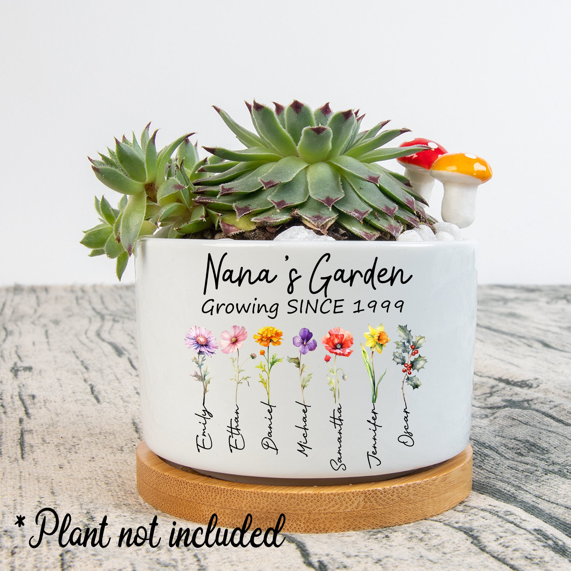 Personalized Grandma's Garden Plant Pot, Mom's Garden, Nana Garden ...